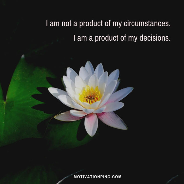 Top Positive Quotes To Inspire You (With Images)