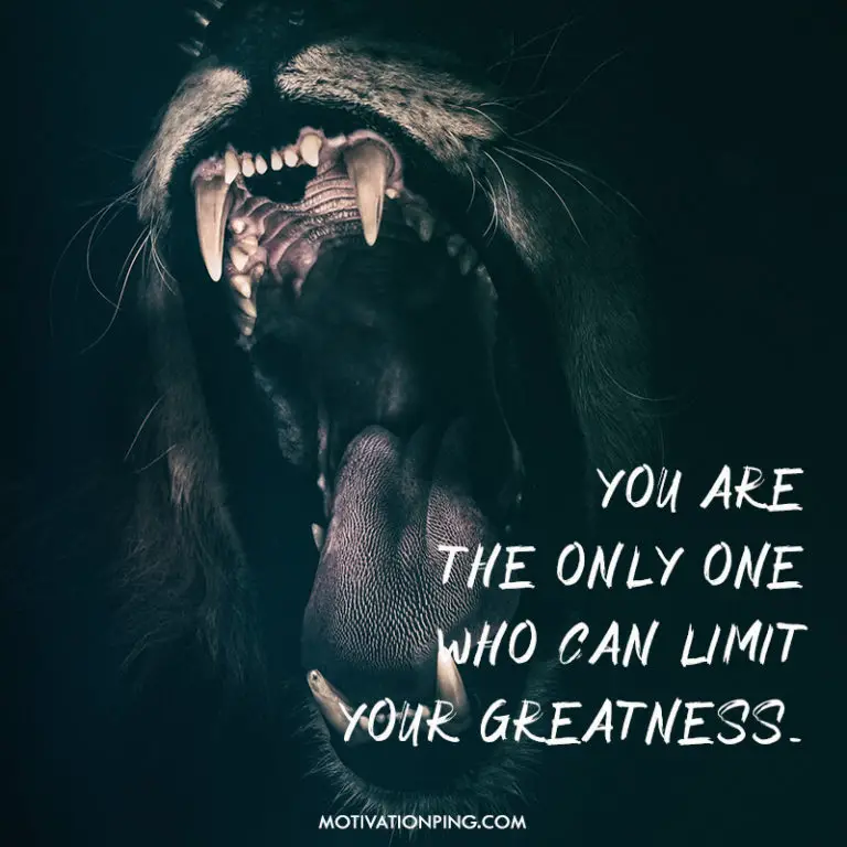 Bodybuilding Quotes For Motivation & Weightlifting