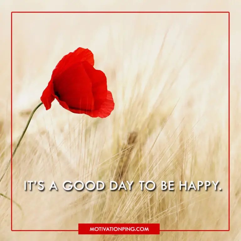 100 Happiness Quotes To Feel Good & Make You Smile