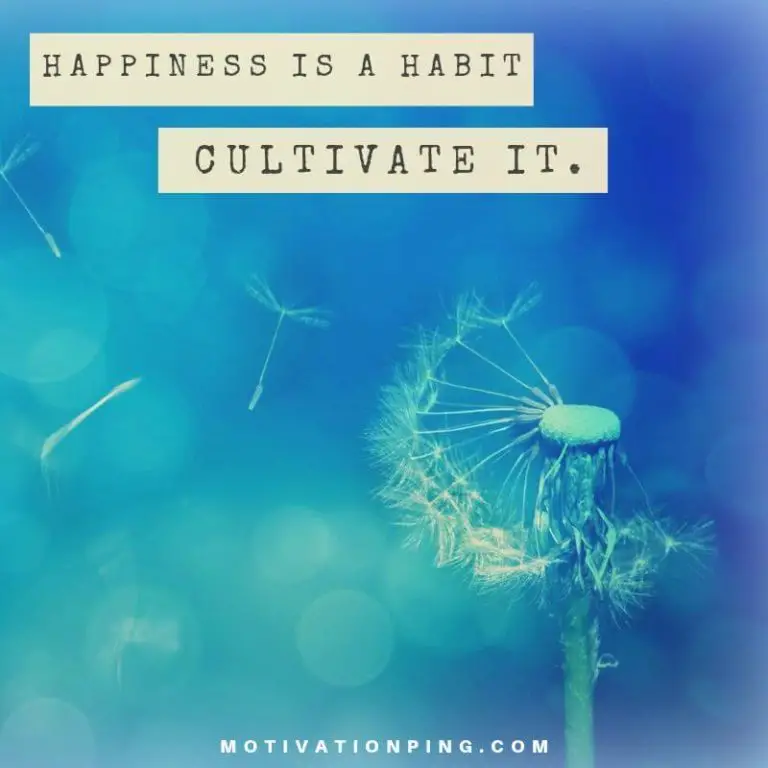 100 Happiness Quotes To Feel Good & Make You Smile