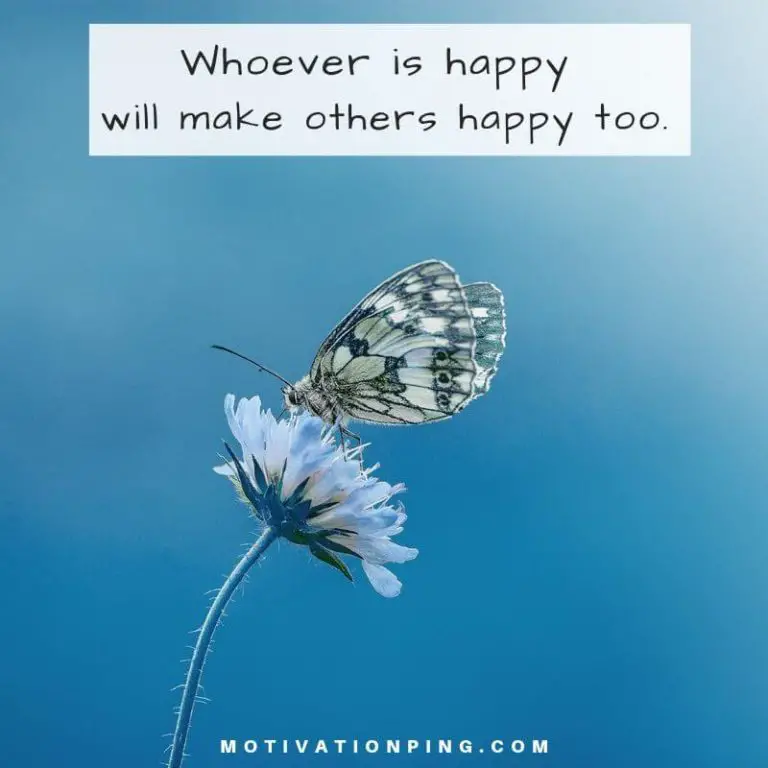 100 Happiness Quotes To Feel Good & Make You Smile